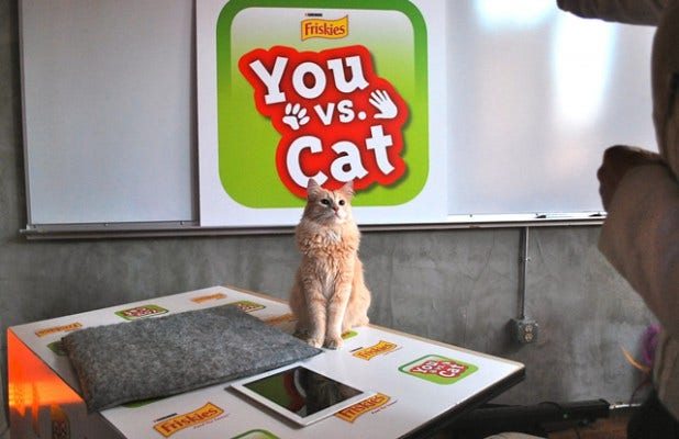 Video Paws-On: Friskies Demos the First iPad Game You Can Play with ...
