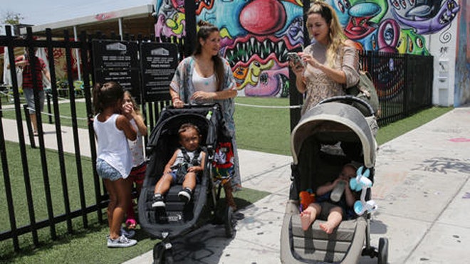 U.S. health officials say, 'Zika is now here' | Fox News