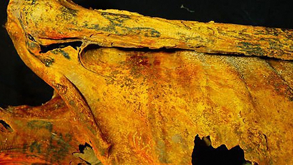 Revealed Secrets Of 3000yearold Egyptian Mummy Printable Mummy Coloring ...