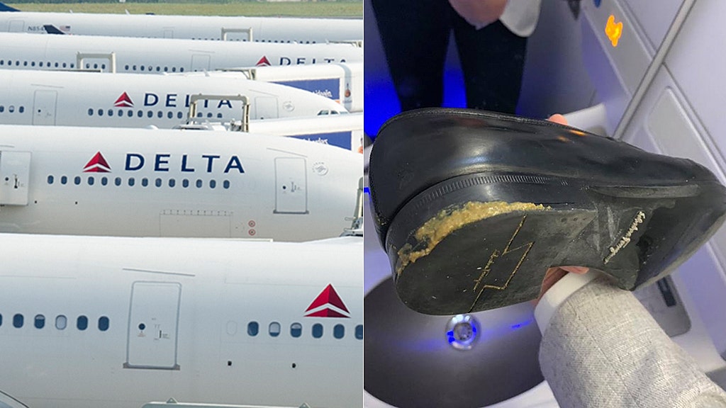Delta apologizes after customer was ‘covered’ in dog poop from seat ...