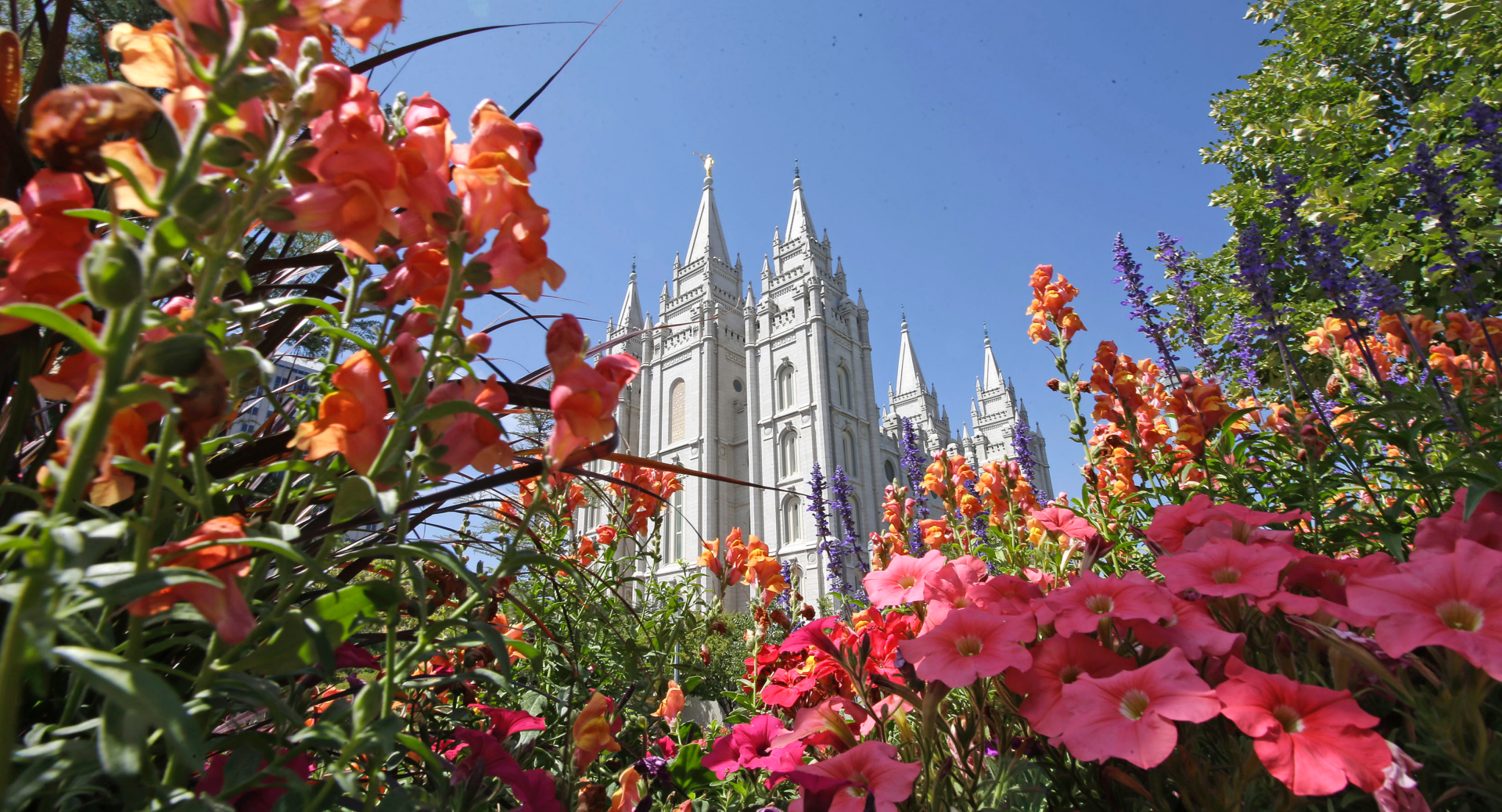 The Latest: LGBTQ parents' group applauds Mormon change | Fox News