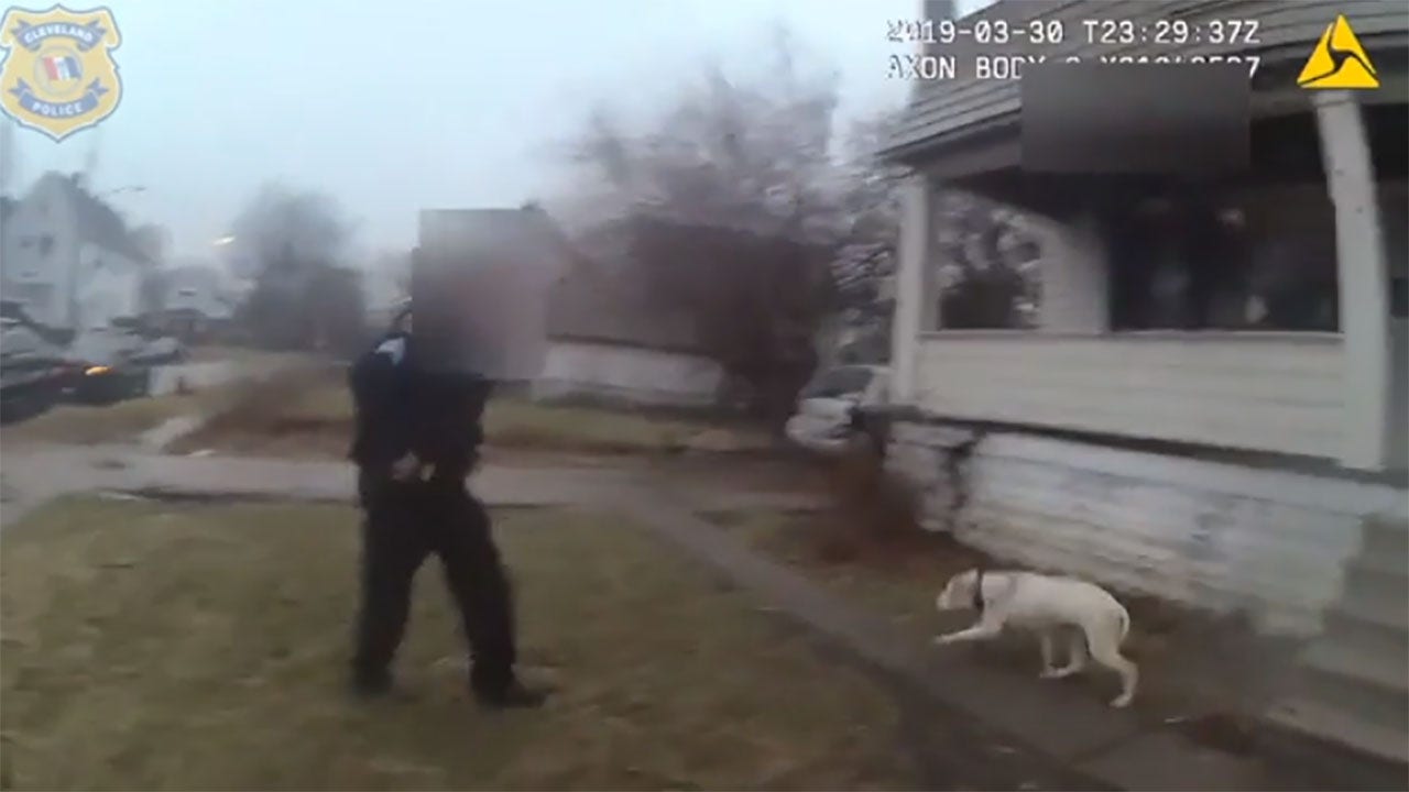 Bodycam footage shows police rescue of dog hanging by neck over balcony ...
