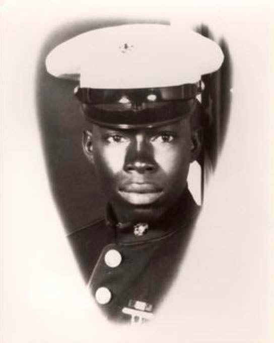Tara McClary Reeves: This Memorial Day, remember Ralph Johnson, who ...