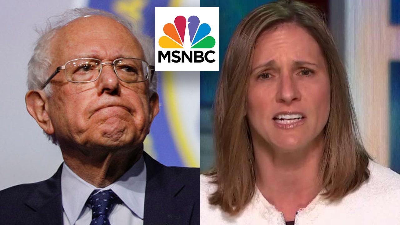 Bernie Sanders' campaign releases ad slamming MSNBC analyst for saying ...