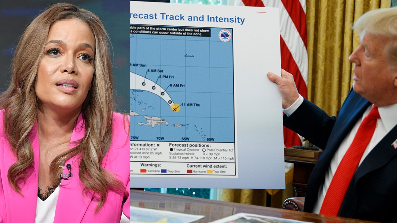 Sunny Hostin suggests Trump could be charged with felony for claim ...