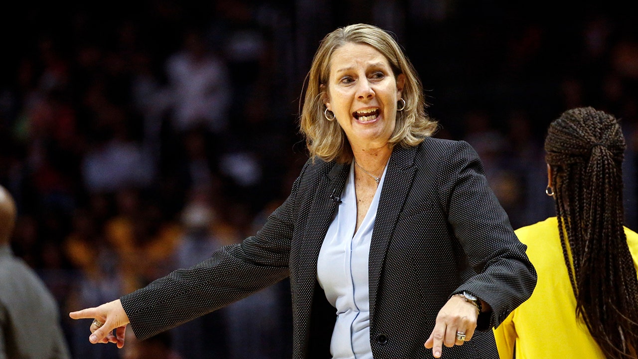 Lynx boss Cheryl Reeve chosen WNBA Executive of the Year | Fox News