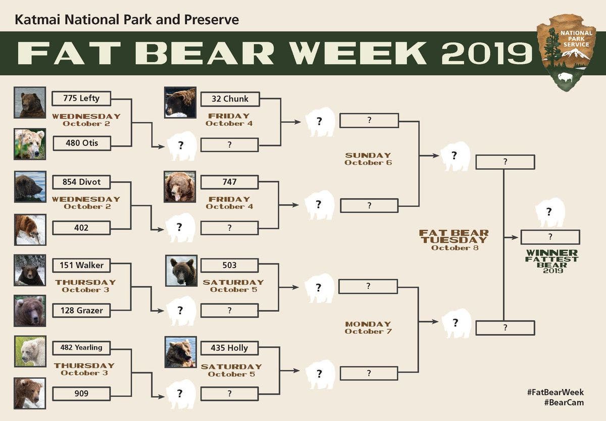 Alaska’s Katmai National Park & Reserve kicks off annual 'Fat Bear Week ...