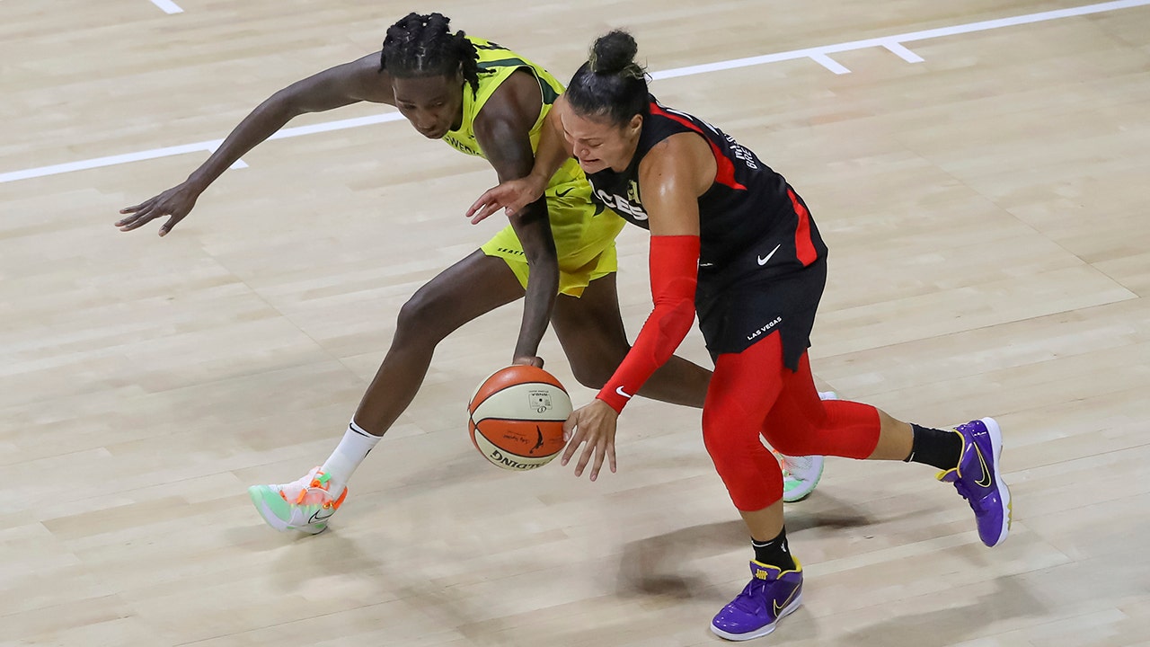 WNBA games postponed for 2nd straight night over shooting | Fox News
