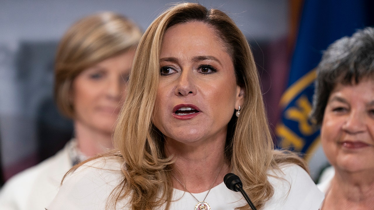 Florida swing district Dem says she didn't lose because of socialism ...