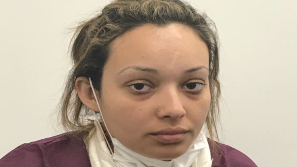 Maryland mom, 28, charged with attempted murder after allegedly cutting ...