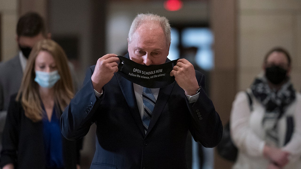 House GOP lawmakers wear 'open schools now' face masks, push 'follow ...