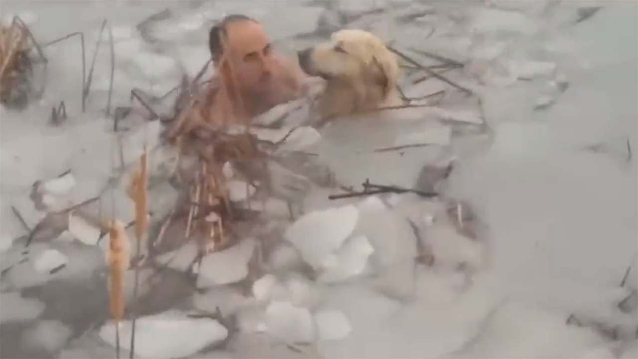Police officers brave freezing water to rescue stranded dog | Fox News