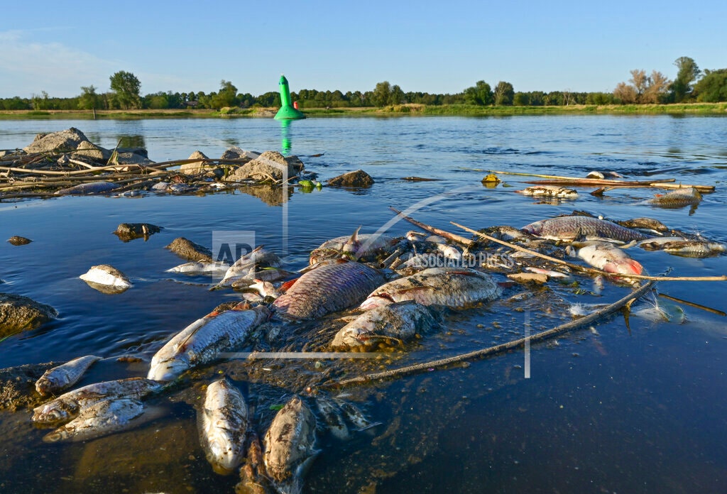 Poland deploys troops to clean up environmental disaster as thousands ...