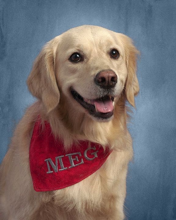 Dog at Ohio Middle School gets her own yearbook picture for 2nd year in ...