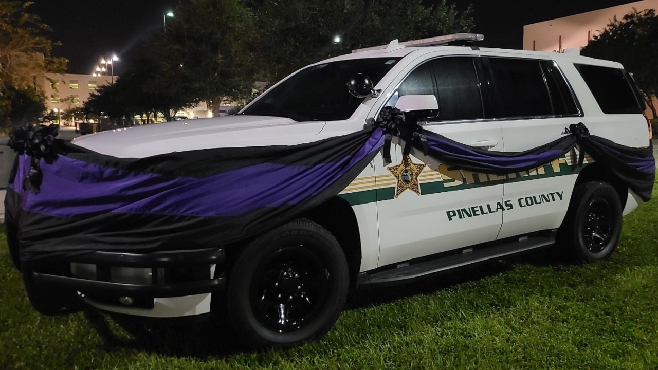 Florida deputy killed in hit-and-run, suspect in custody after manhunt ...