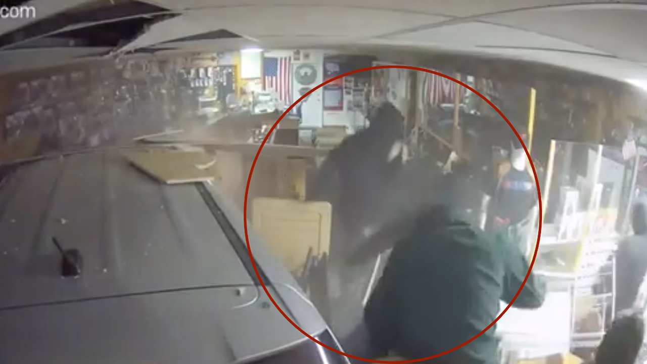 Michigan cops nab suspected robber accused of helping steal dozens of guns after he brags to ...