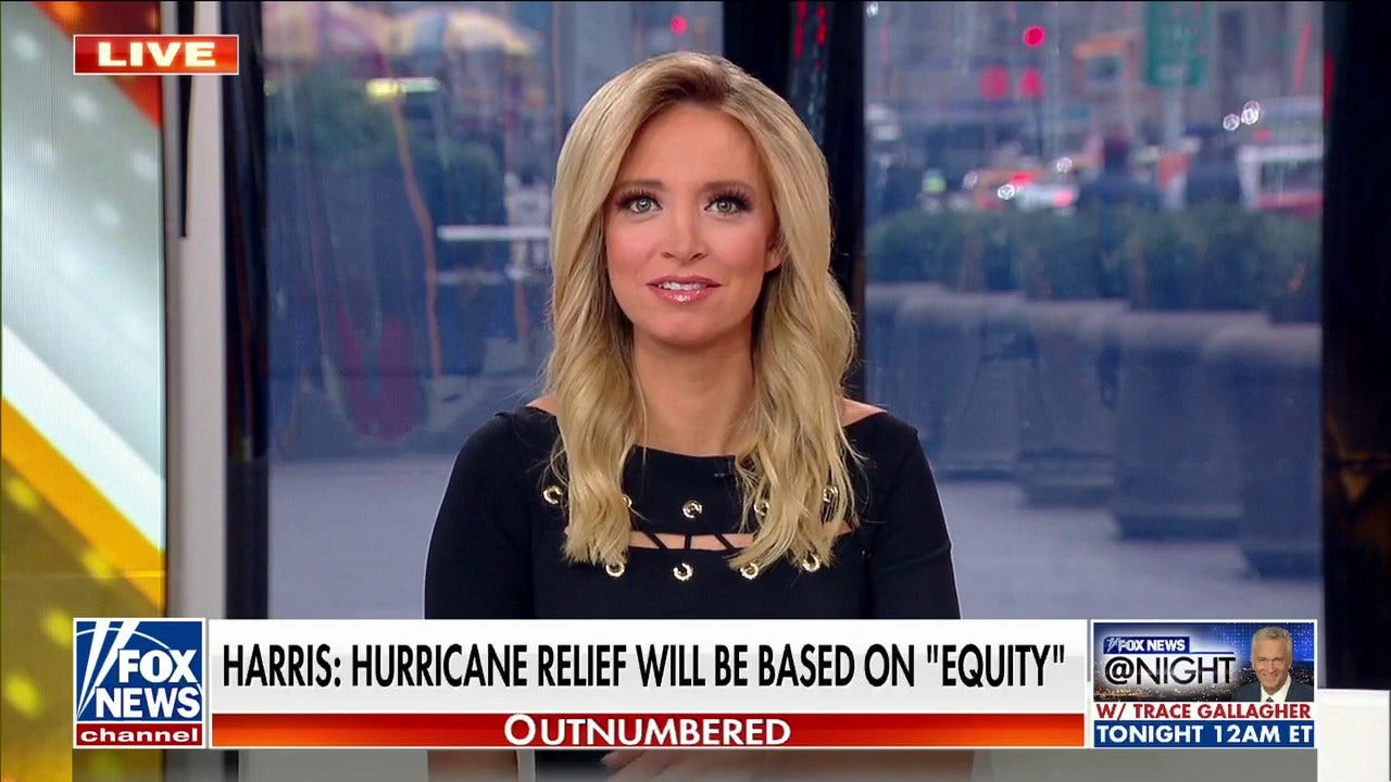 Kayleigh McEnany calls out VP Harris' 'equity' remark on 'Outnumbered ...
