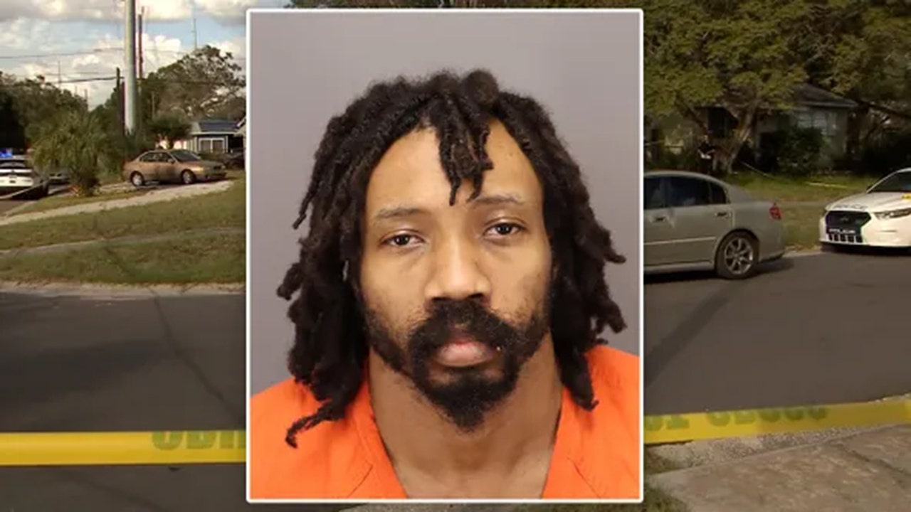 Florida man accused of murdering his 60-year-old mother, police say ...