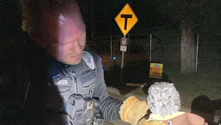 Arizona police pull over a man for DUI, find meth, owl in car | Fox News