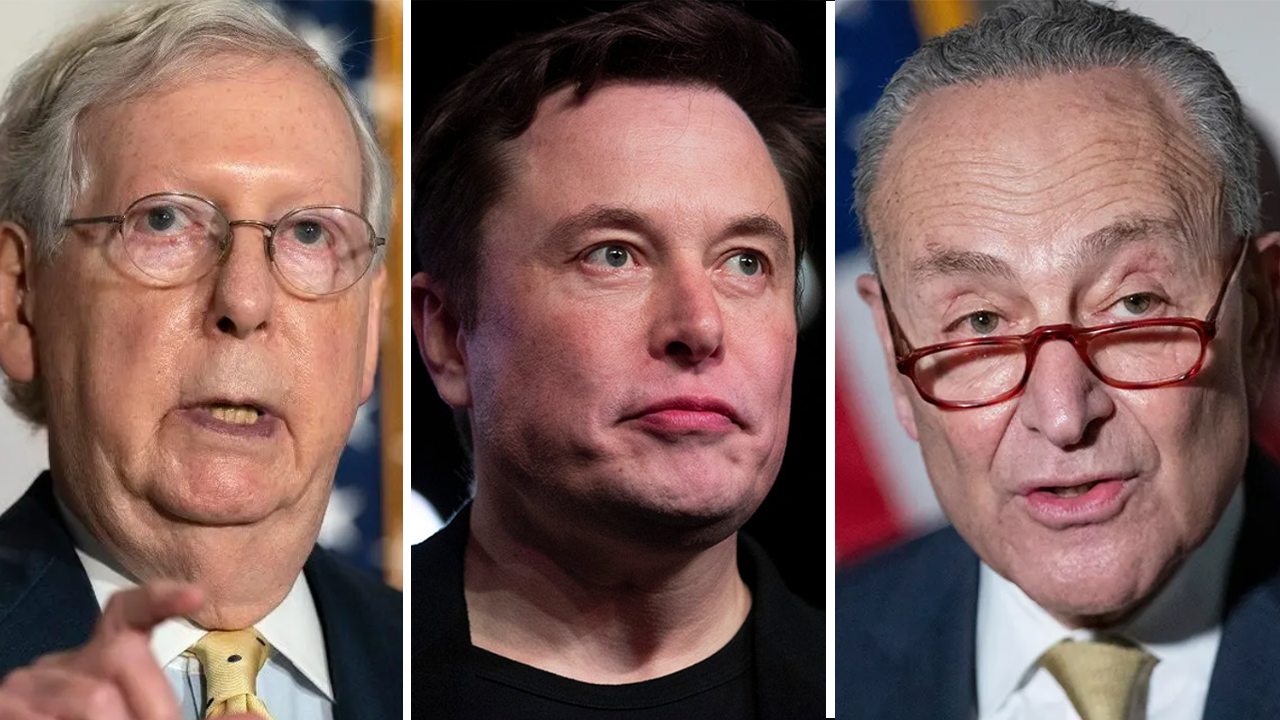 Elon Musk taunts Schumer, McConnell after Twitter poll shows opposition ... Elon Musk taunts Schumer, McConnell after Twitter poll shows opposition ...