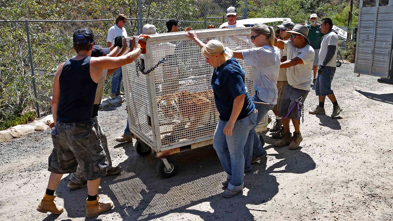 Last of CA wildlife sanctuary’s orphaned and abused animals finally ...