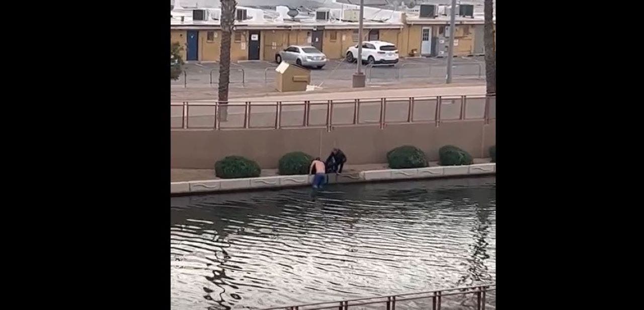 Arizona man jumps into frigid canal waters to save dog, owner from drowning: 'I don't think I'm ...