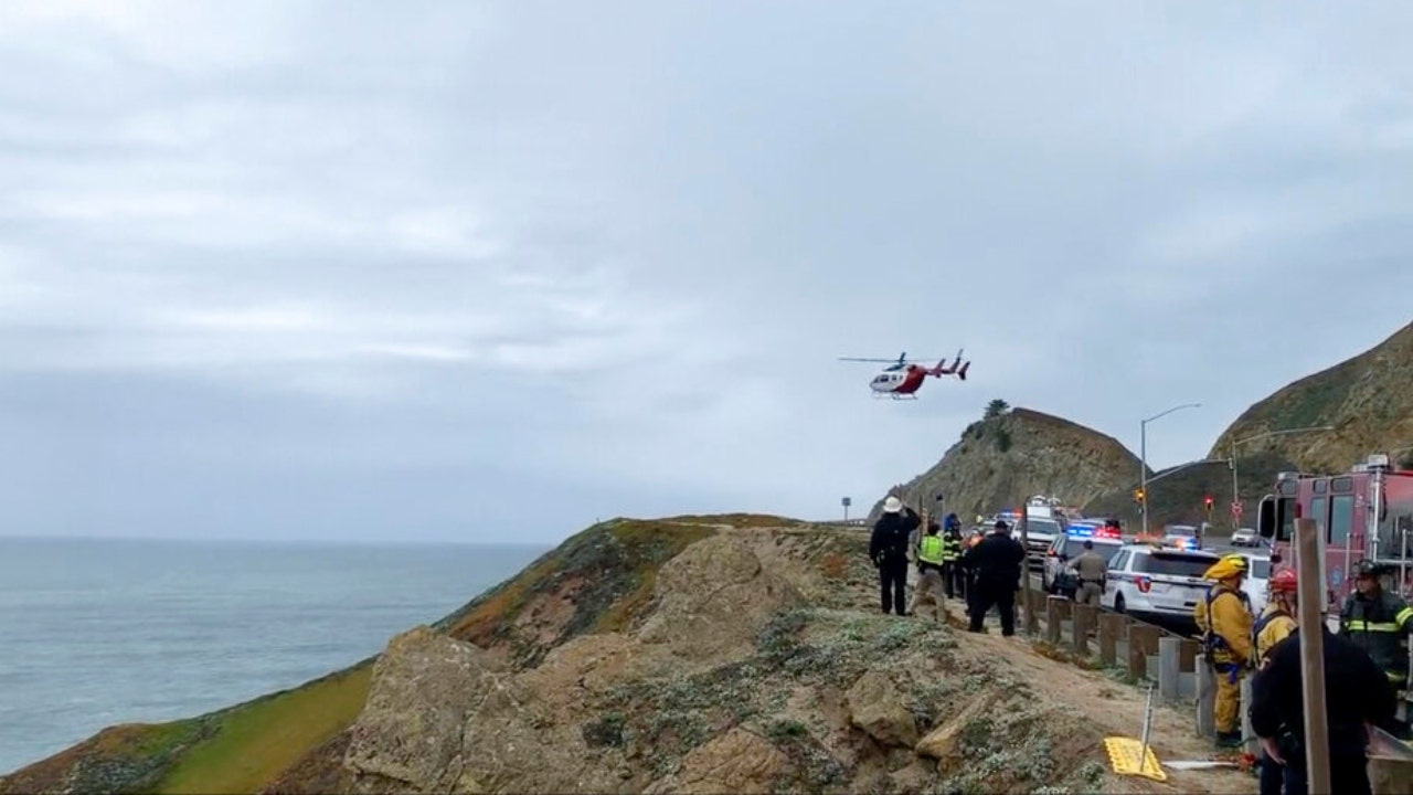 Doctor accused of ‘purposely’ driving family off cliff asks for mental ...