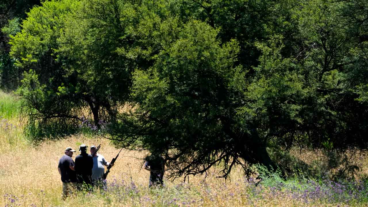 South African tiger injures man, kills dog after escaping from its ...