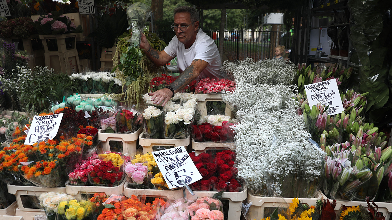 Valentine's Day flowers discouraged over environment concerns ...