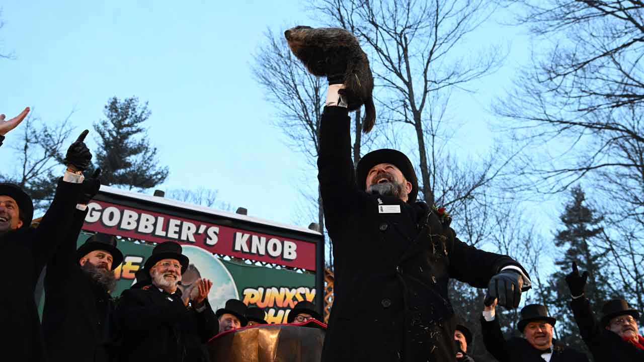 Move over, Punxsutawney Phil: Here are 8 other rodents making ...