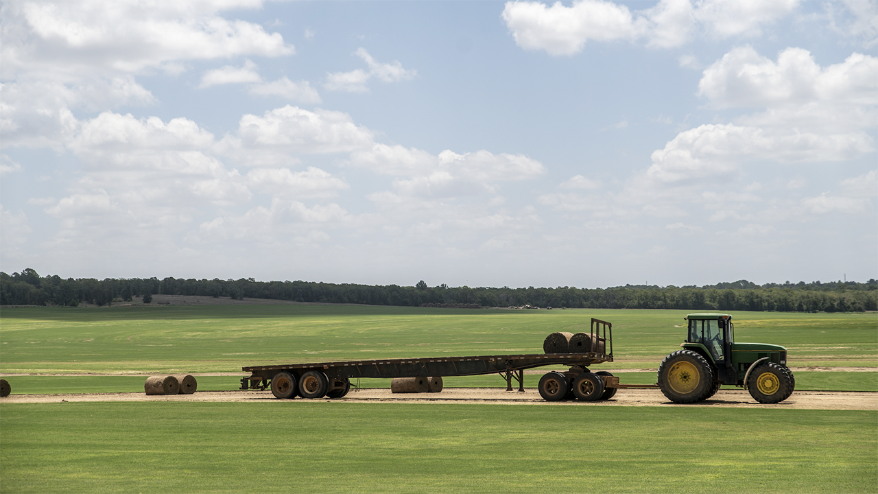 Texas Senate passes bill banning the purchase of farmland by citizens ...