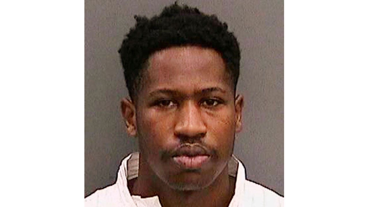 Florida man pleads guilty in 2017 serial killings of 4 people | Fox News