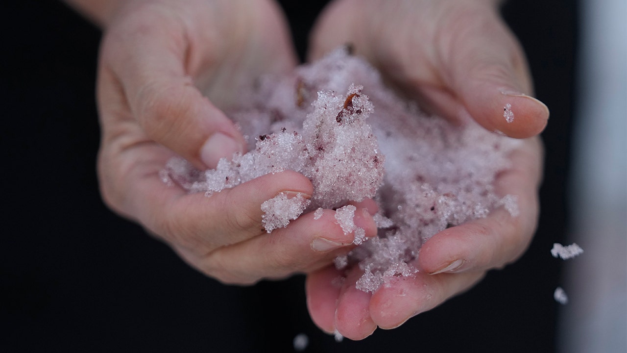 Pink-colored 'watermelon snow' on Rocky Mountains sparks interest for ...