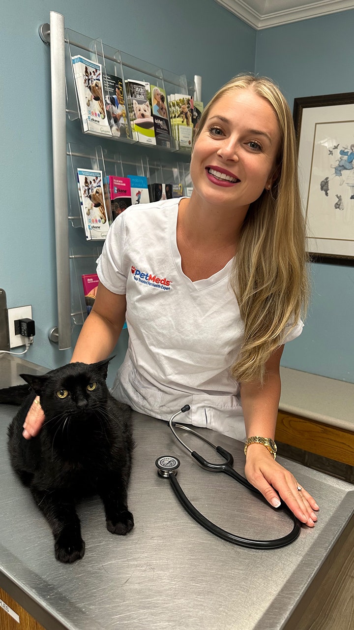 Hot summer safety: How to keep your pets healthy in extreme ...