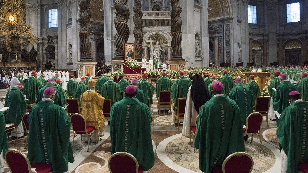 Bishop Barron says Catholic Synod will debate strategies, not doctrinal ...