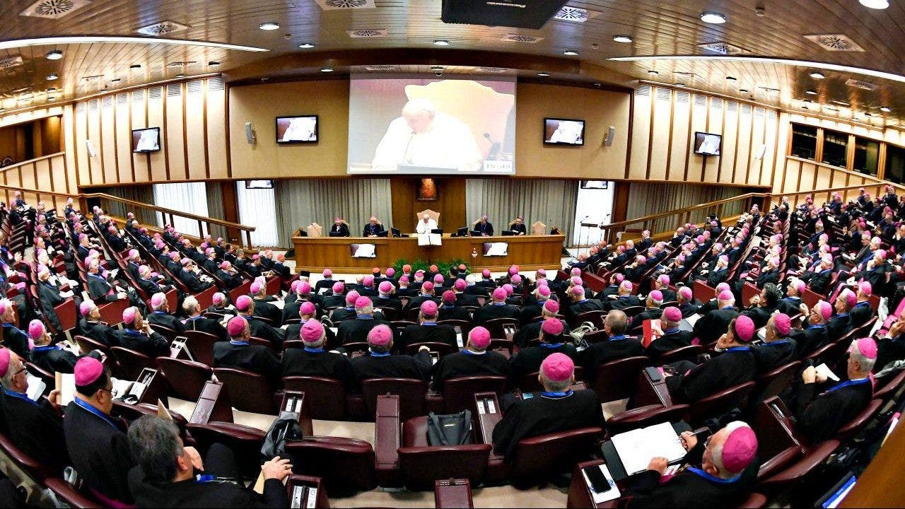 Bishop Barron says Catholic Synod will debate strategies, not doctrinal ...