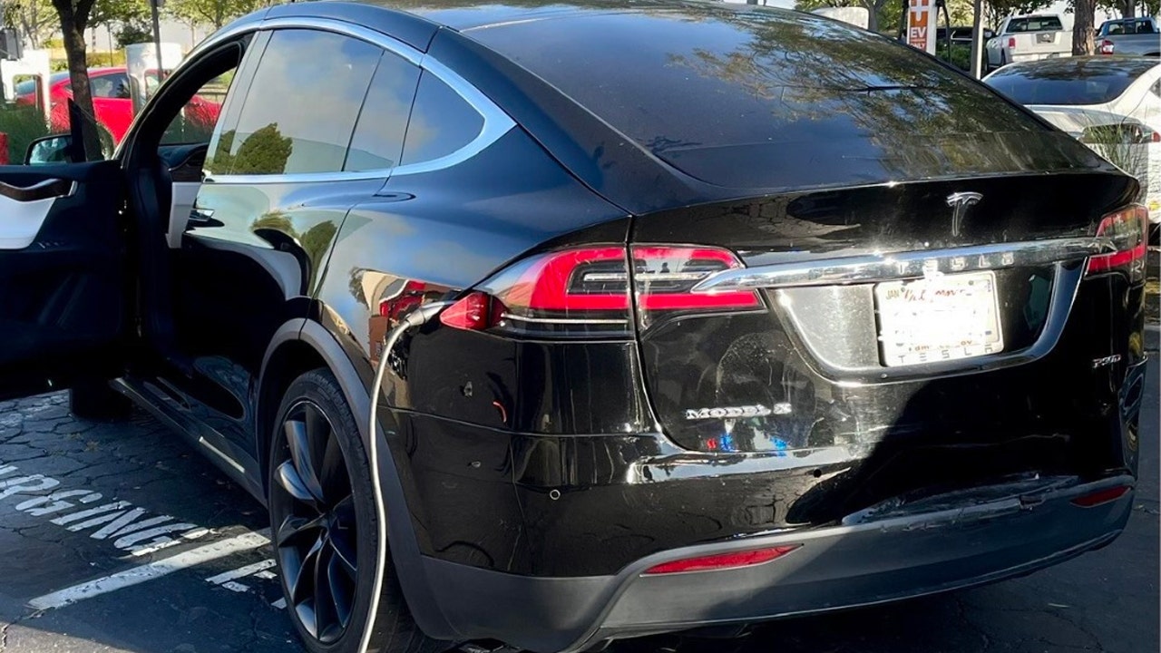 Mixed martial artist takes down California arsonist in stolen Tesla ... Mixed martial artist takes down California arsonist in stolen Tesla ...