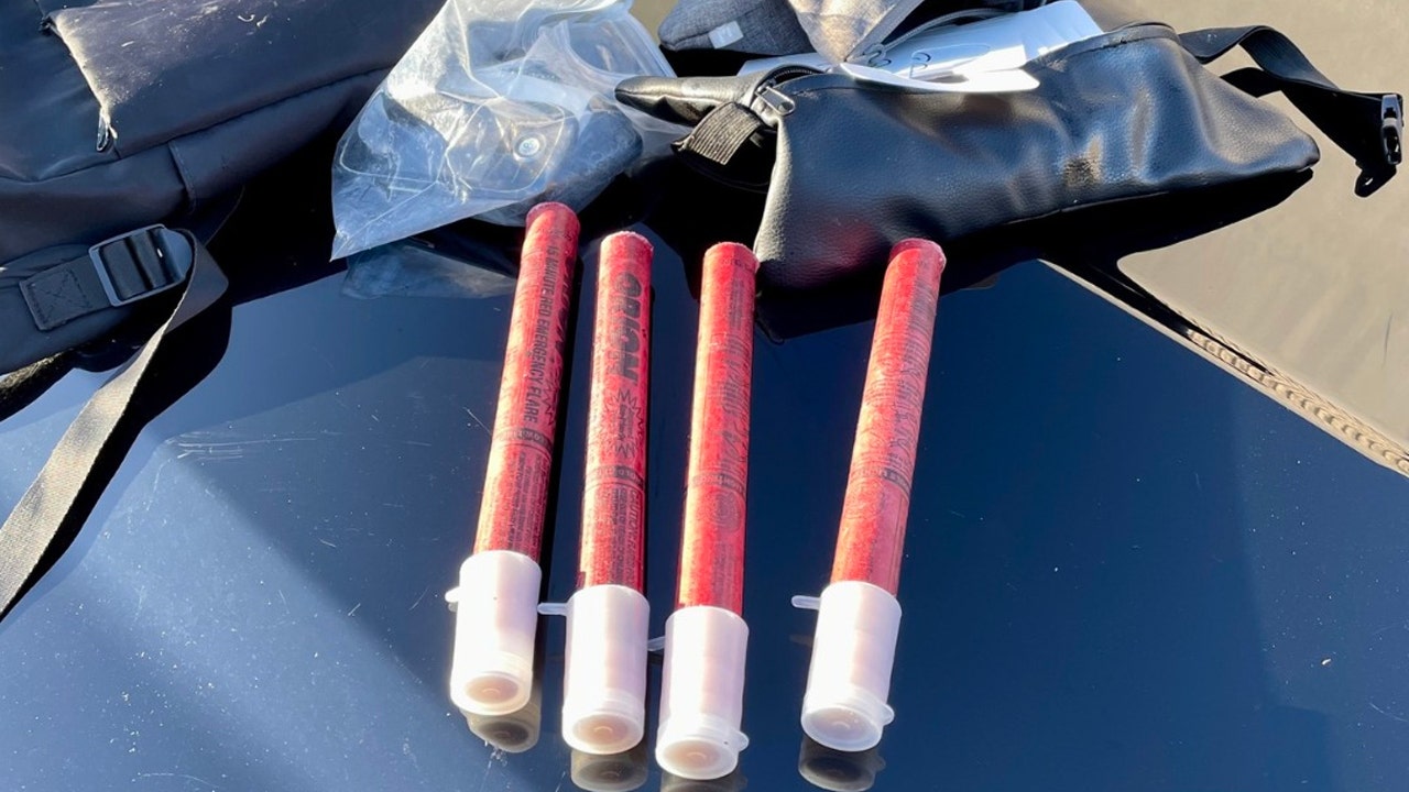 Mixed martial artist takes down California arsonist in stolen Tesla ... Mixed martial artist takes down California arsonist in stolen Tesla ...