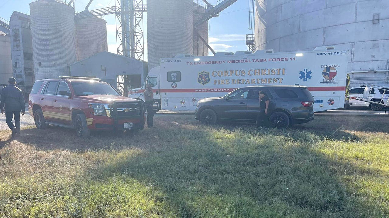 Texas grain elevator collapse kills 1, sends others to hospital | Fox News