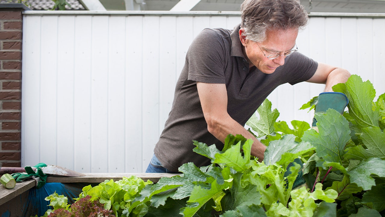 Weeds growing in your garden? Identify, remove and prevent them | Fox News