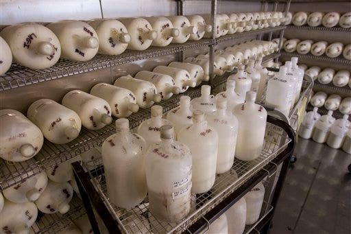 Radioactive Milk Fears | News