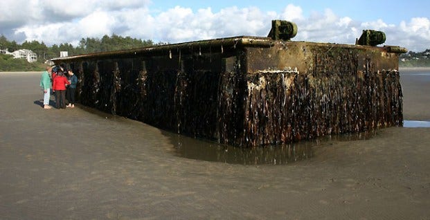Who Pays to Clean Up U.S. Tsunami Debris? [VIDEO] | Video