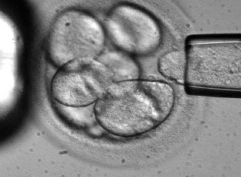 Housecall For Health: IVF Breakthrough | News