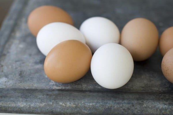 Does Egg Color Matter? | News